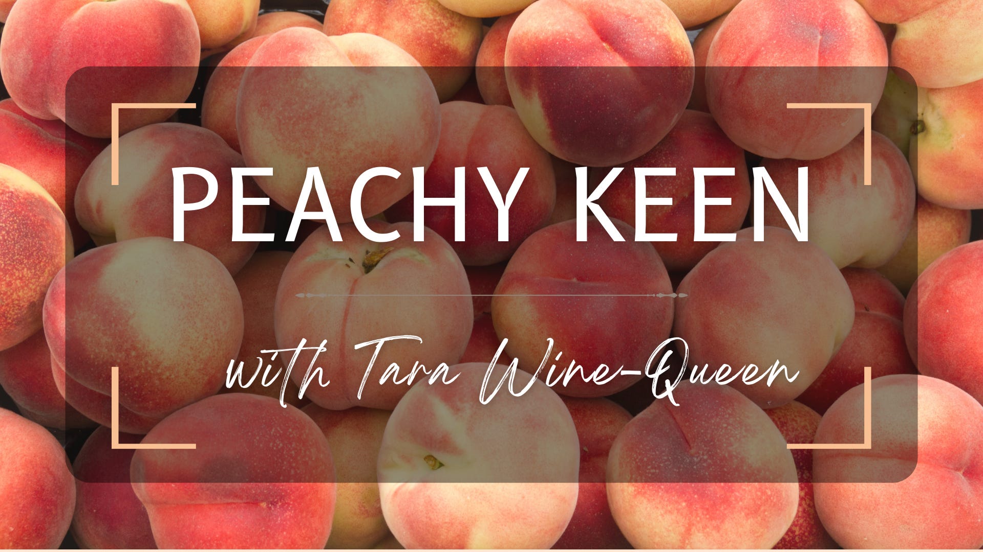 The Launch of Peachy Keen with Tara Wine-Queen