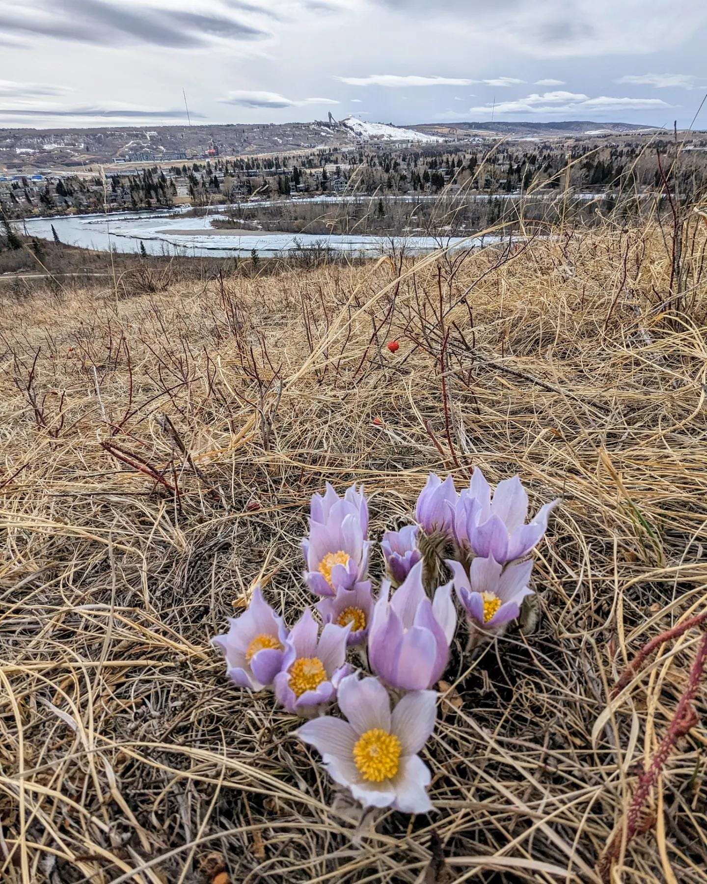 Spotting Signs of Spring - by Annalise and Cailynn