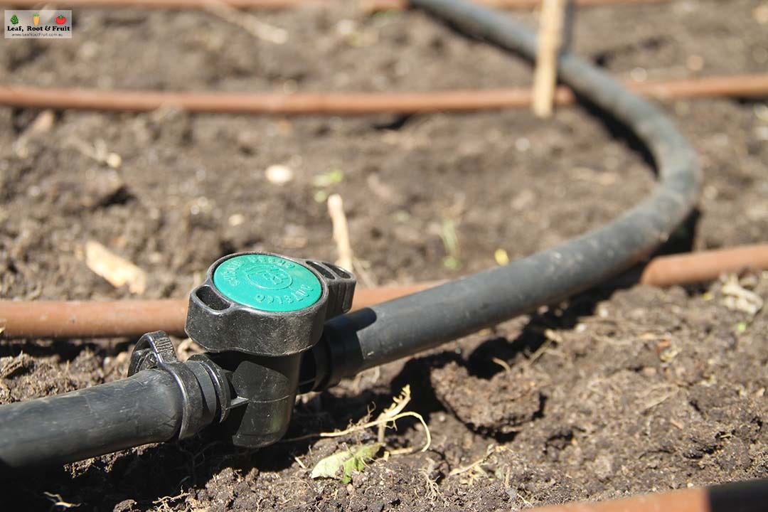Vegetable Patch Watering and Irrigation Systems