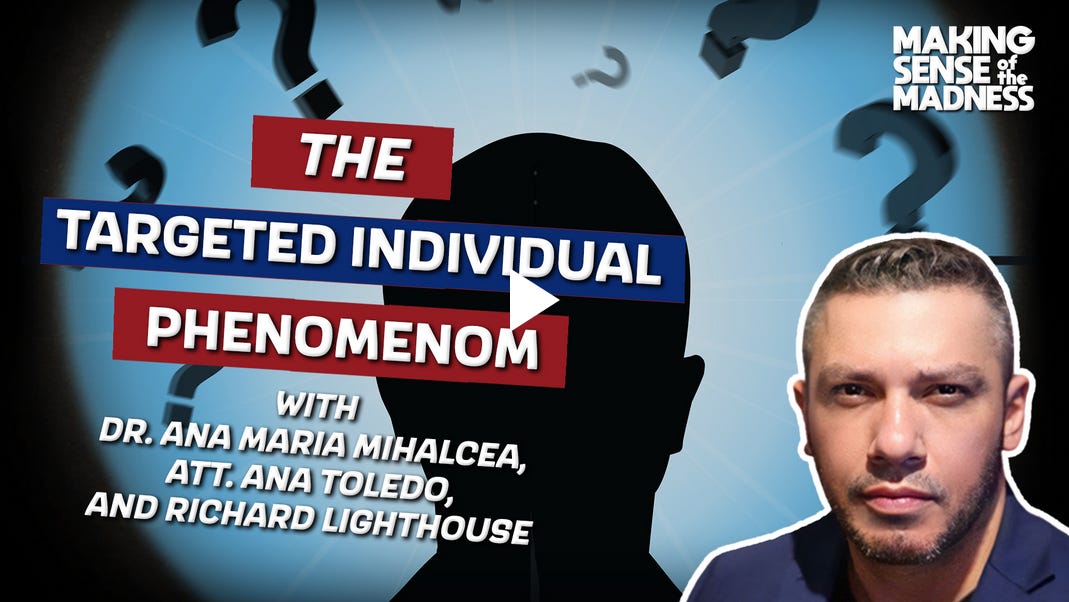 The Targeted Individual Phenomenon On Making Sense Of The Madness With ...