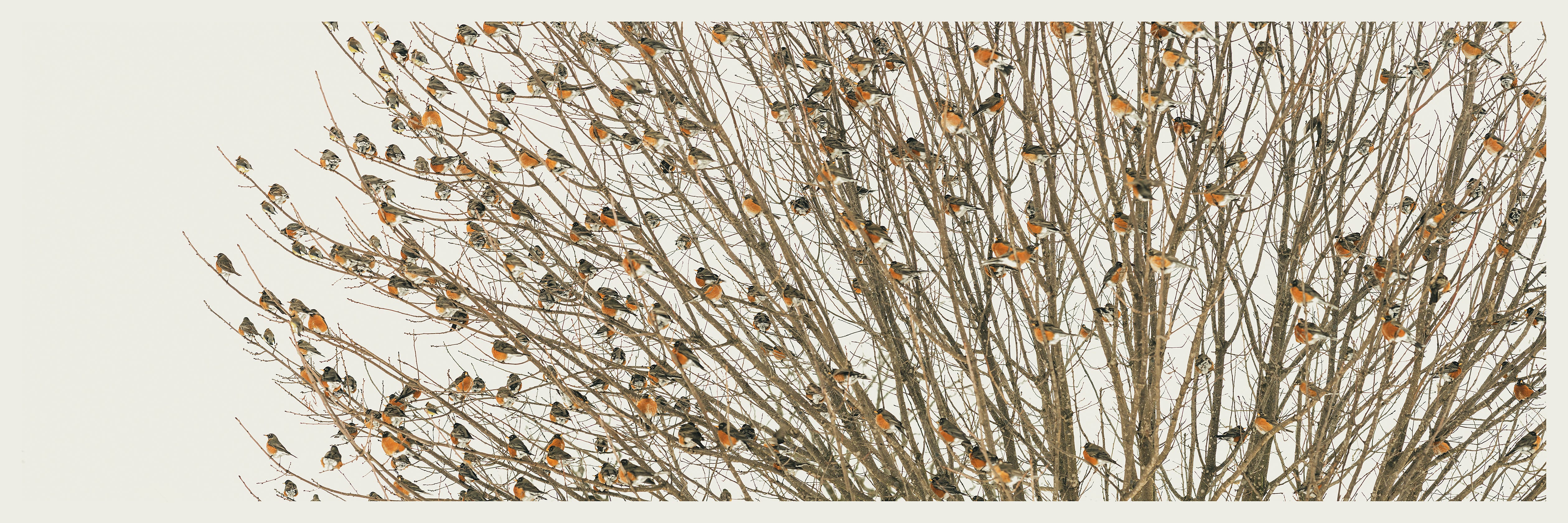 Embers ~ April 2023 - by Justin Deming - Along the Hudson