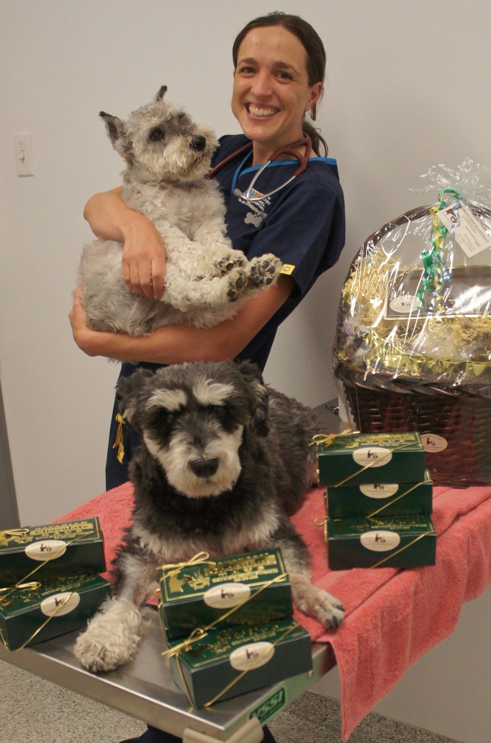 Reunion! - Tom Ryan, Author