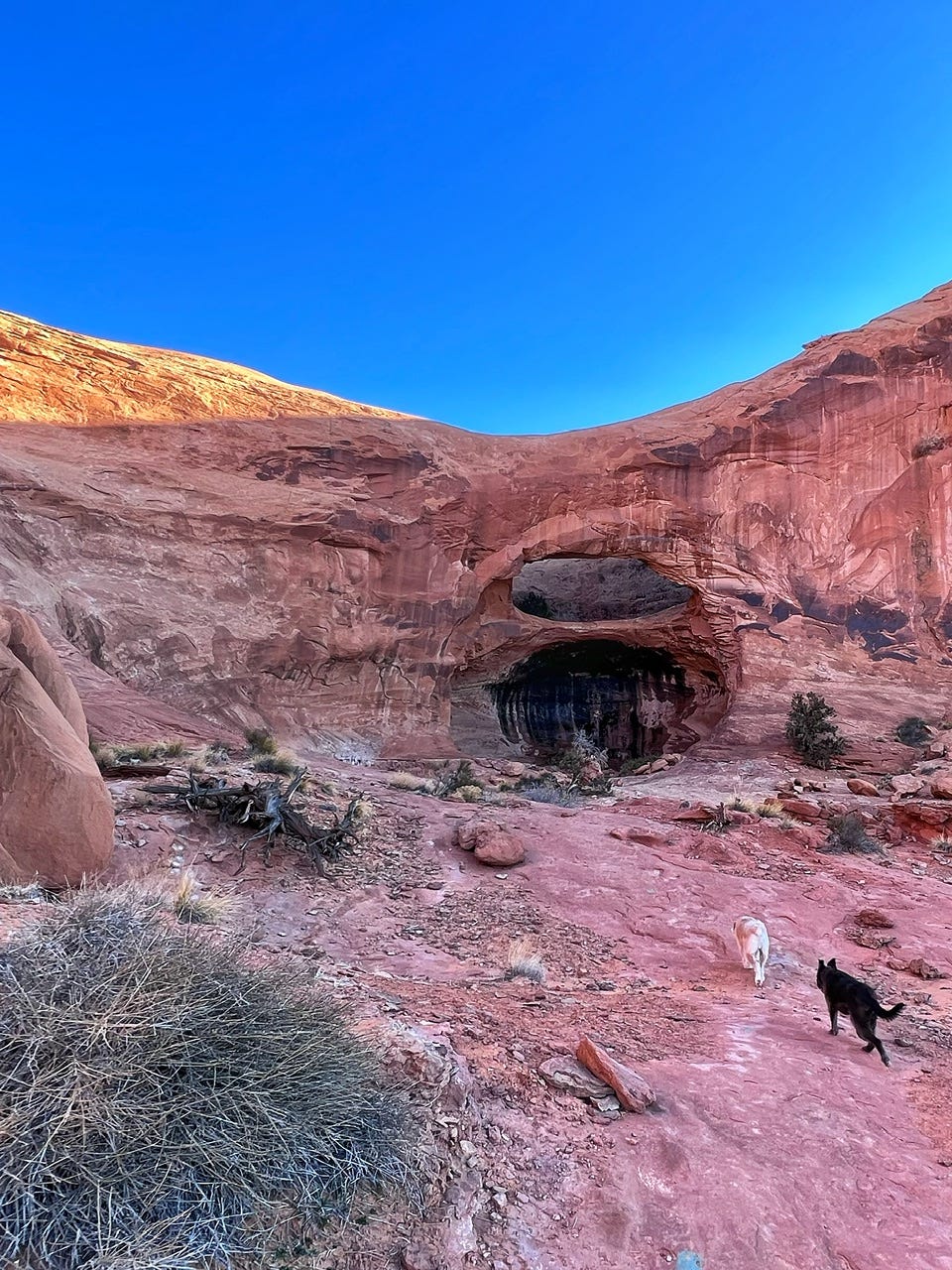 Postcards from the Open Road: Moab - Tom Ryan, Author