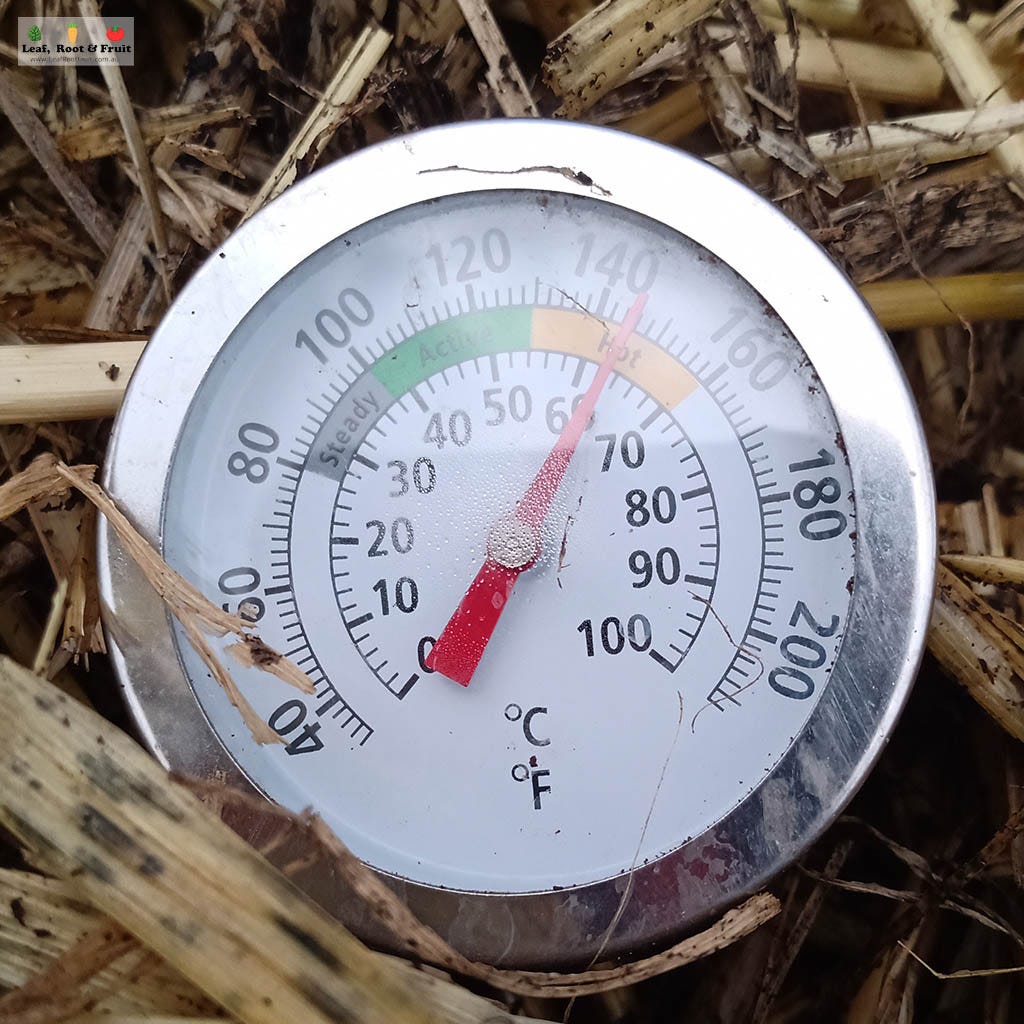 Using Compost in the Vegetable Patch - by Duncan Cocking