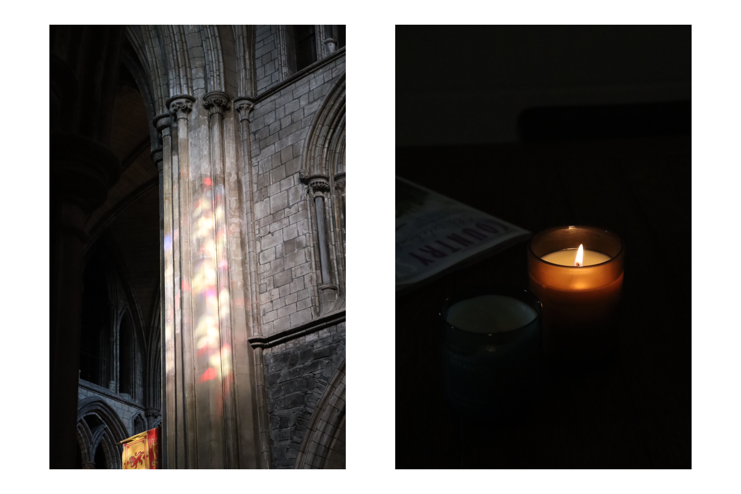 The living home (part 2) - Penelope’s Loom