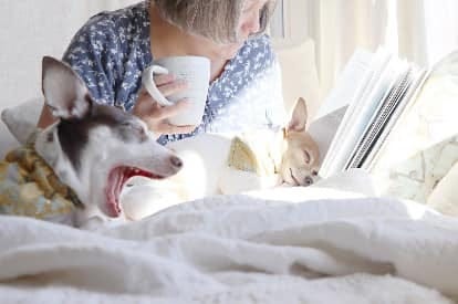 Cheryl Rutledge-Brennecke | Substack