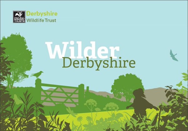 Breaking the bubble - by Jo Smith - Jo’s Substack