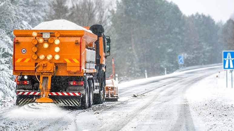 How Road Salt Does More Harm Than Good
