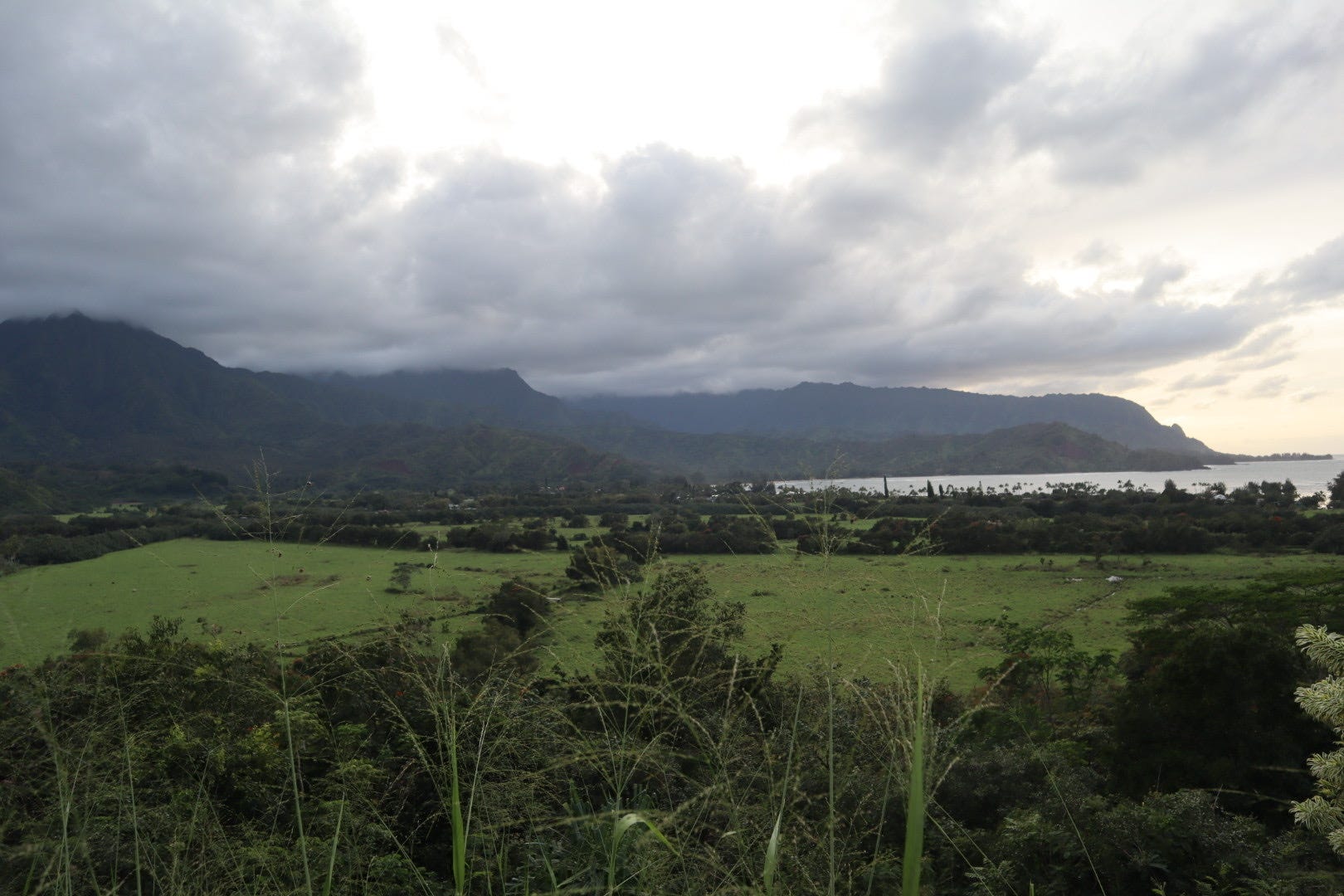 Shepherd - Brie’s Substack