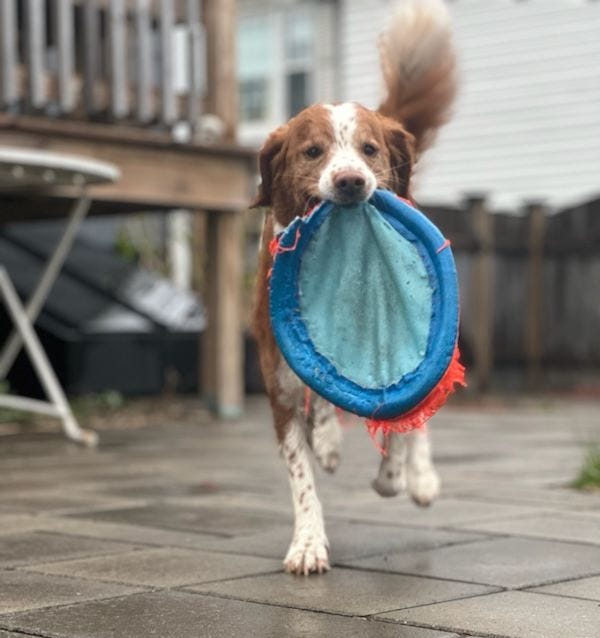 Justin Birch—flow master! - by George O'Connor