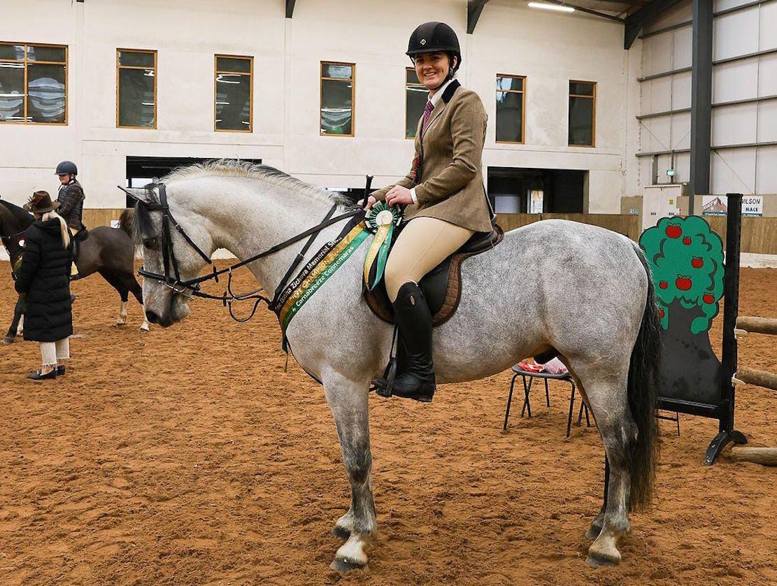 Busy day at Causeway and Glens Winter Working Hunter Show