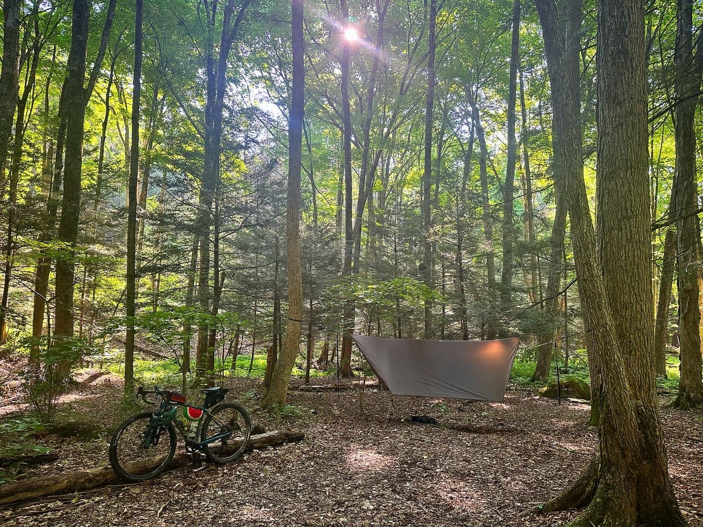 Ring Around Taconic Ridge - by Mimi Ji