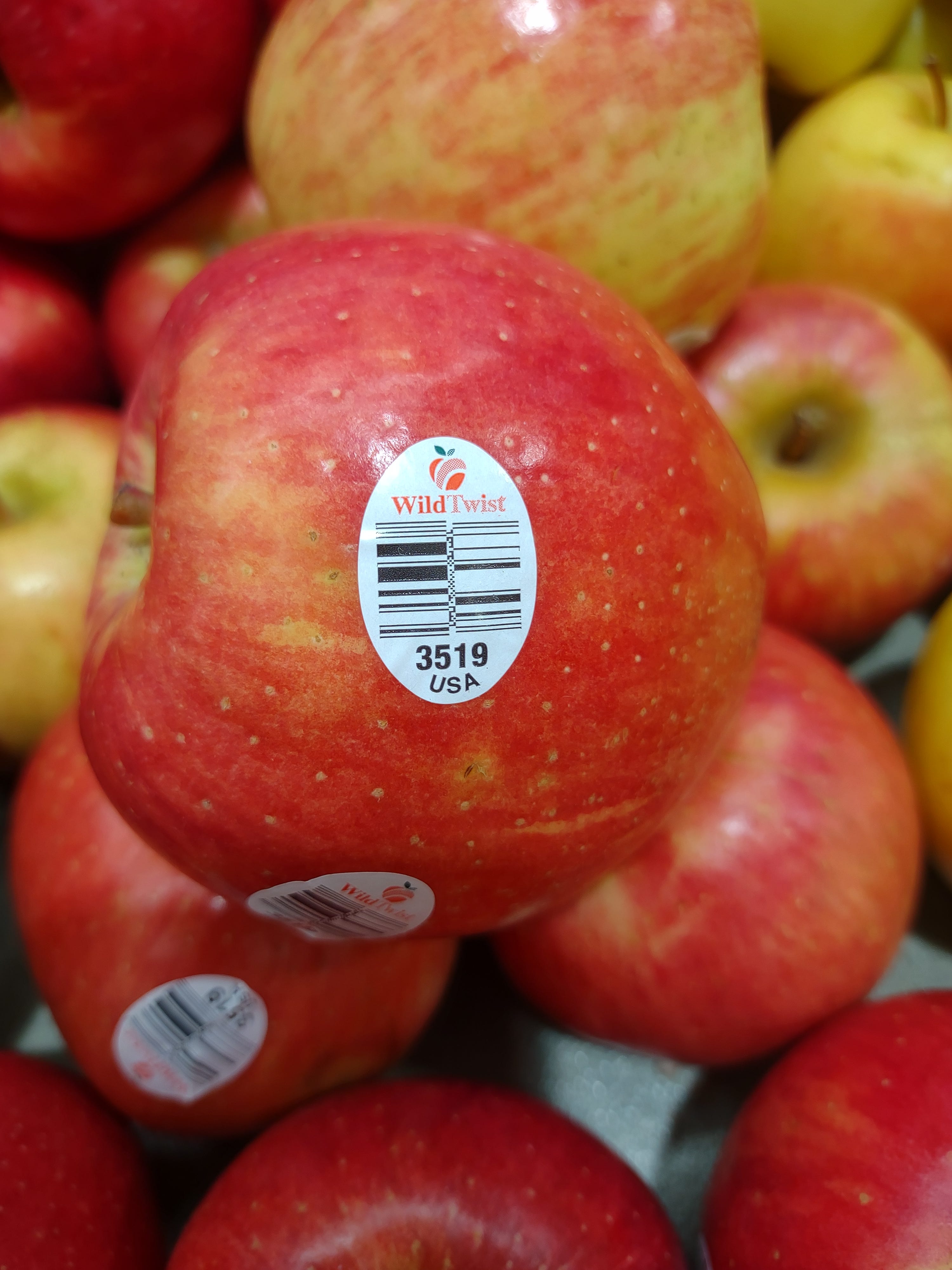 Where to Buy Wild Twist Apples - What Apple to Eat Today