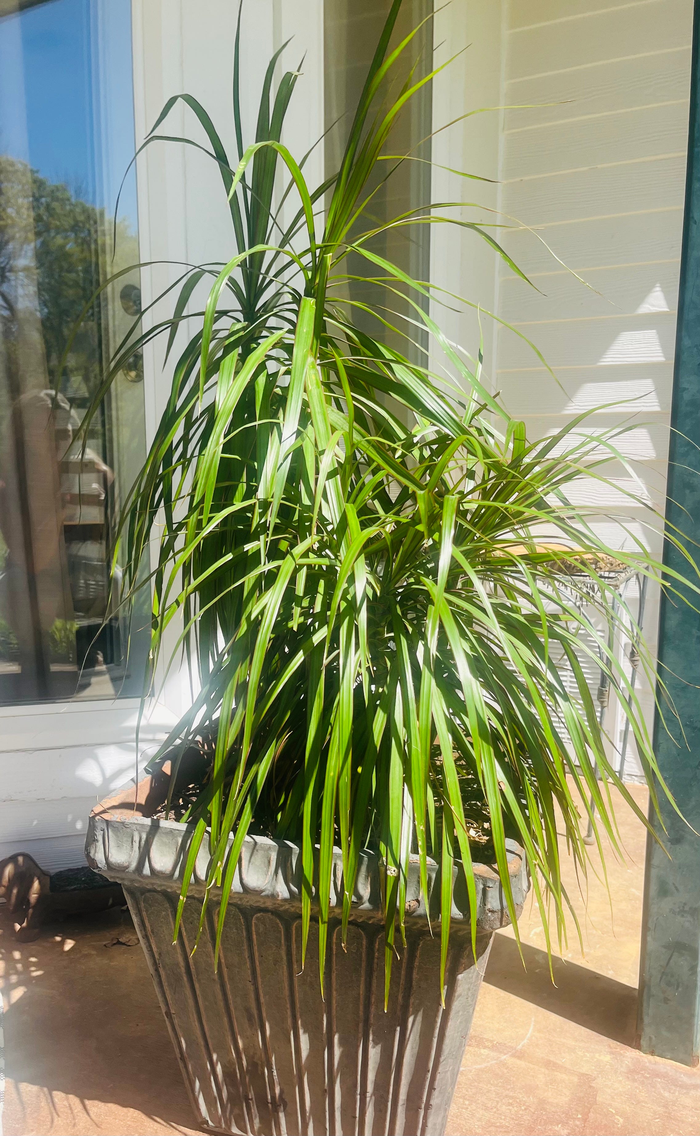 17 Months. - by Heidi Rutledge - Heidi’s Substack