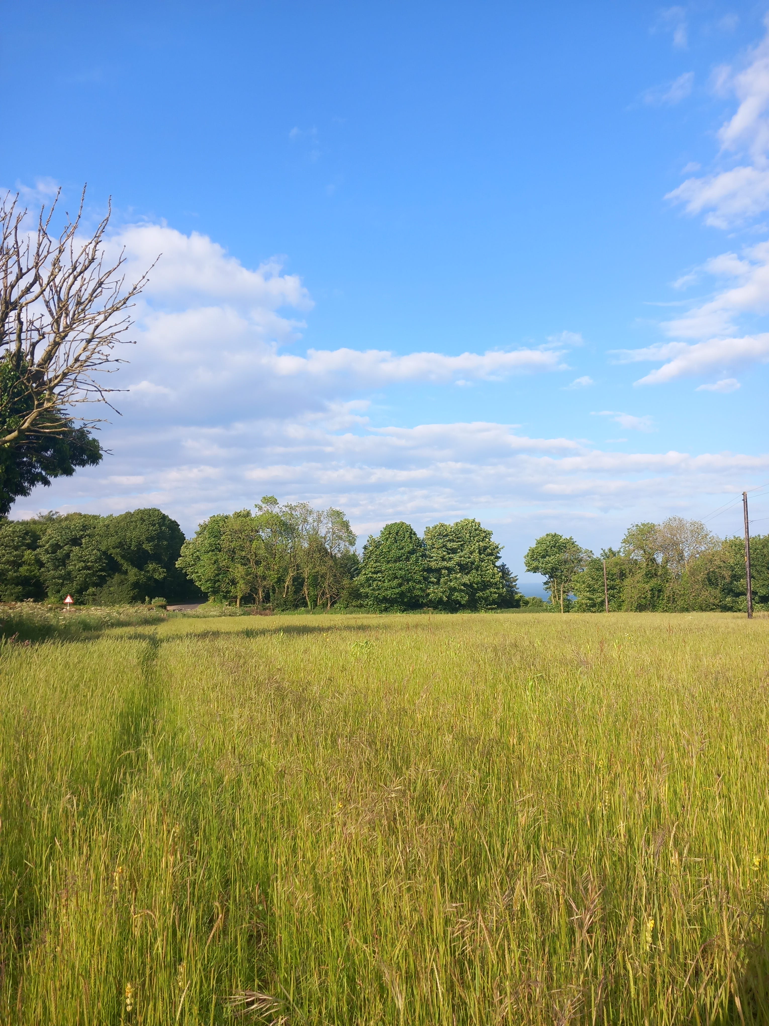 Triangle Field is keeping me up at night - by Ruby Tildsley