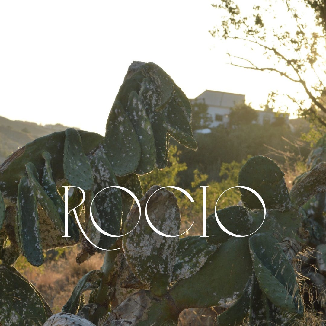 Studio .. - Kat’s Substack