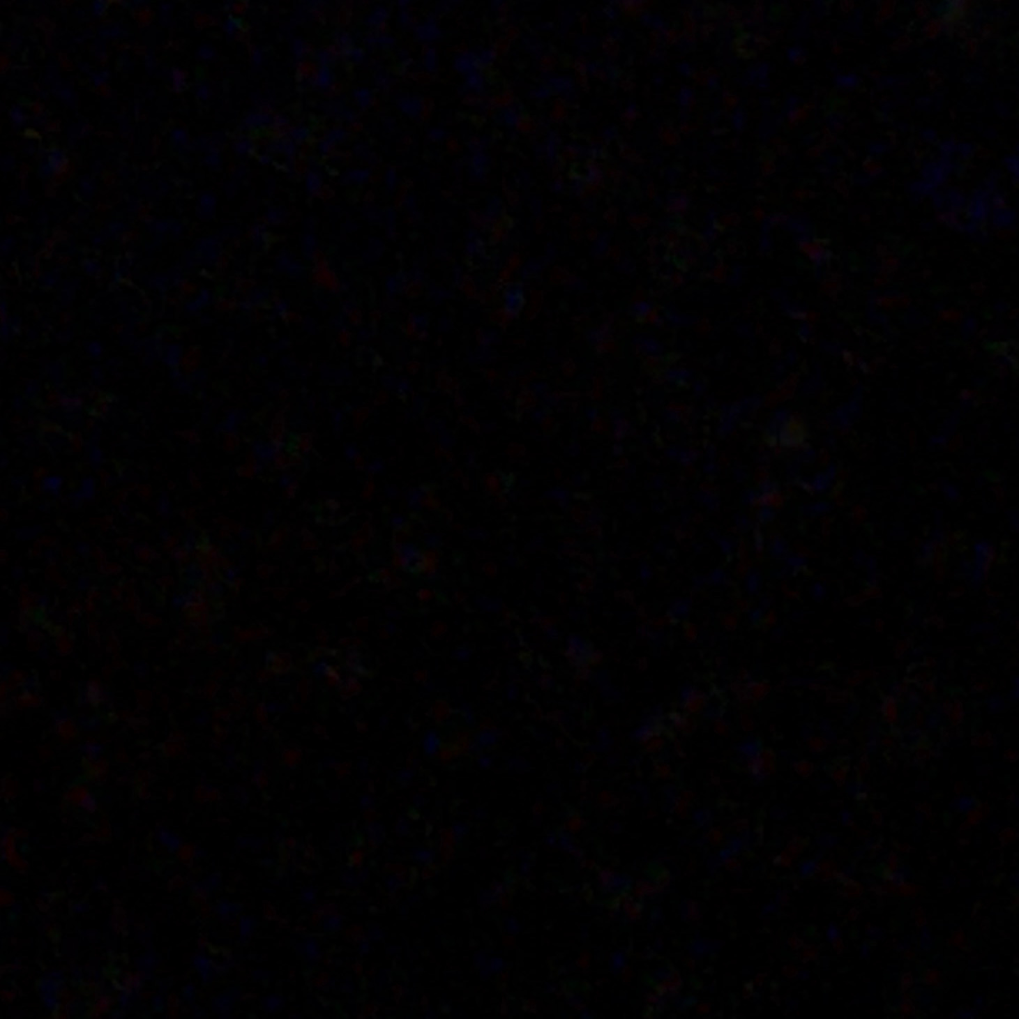 Jack Engel | Substack