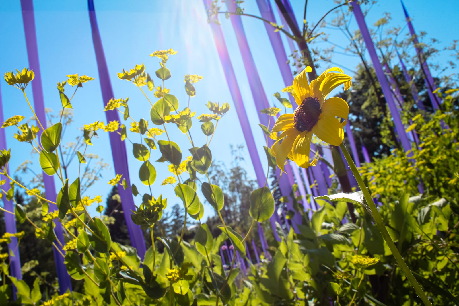 Growing Spiritual Fruit - by Sara Em - Sara’s Lenses