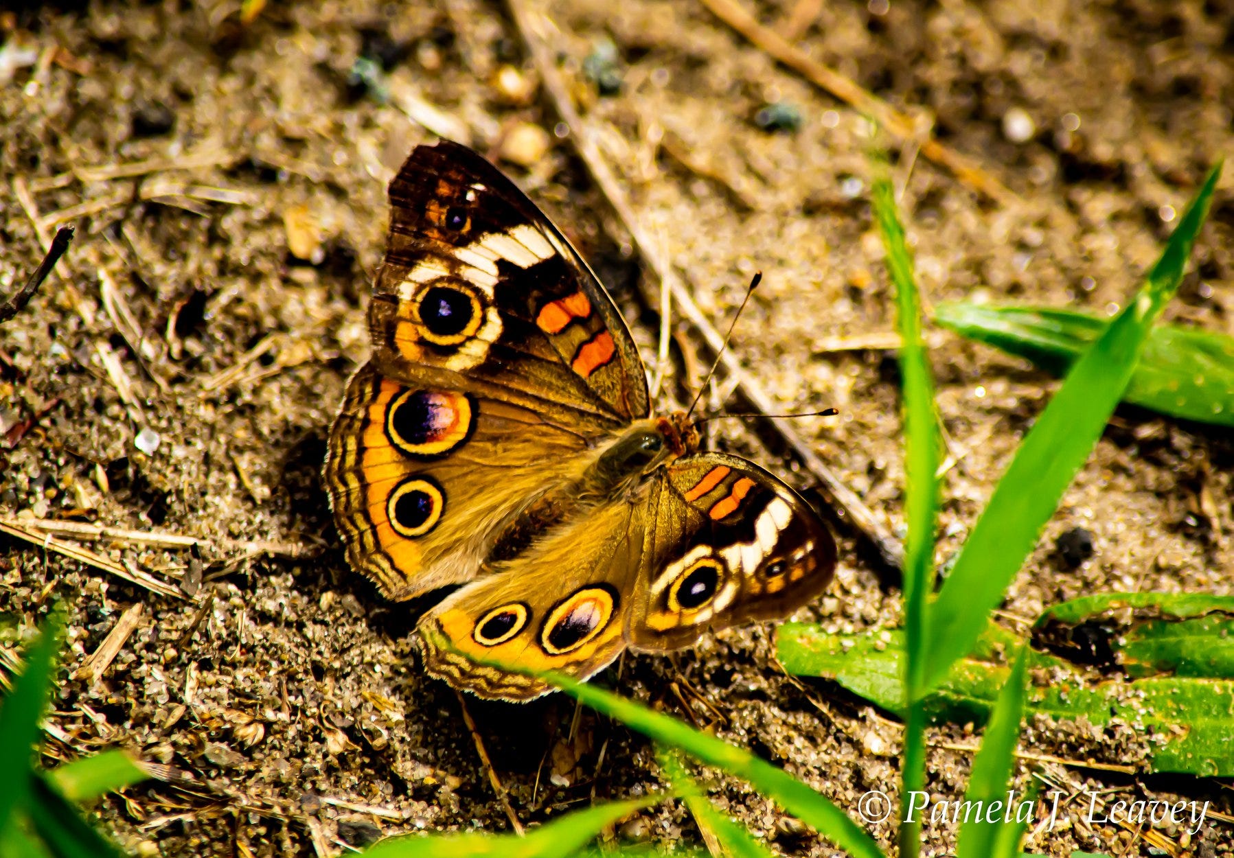 Poem of the Day: One Journey