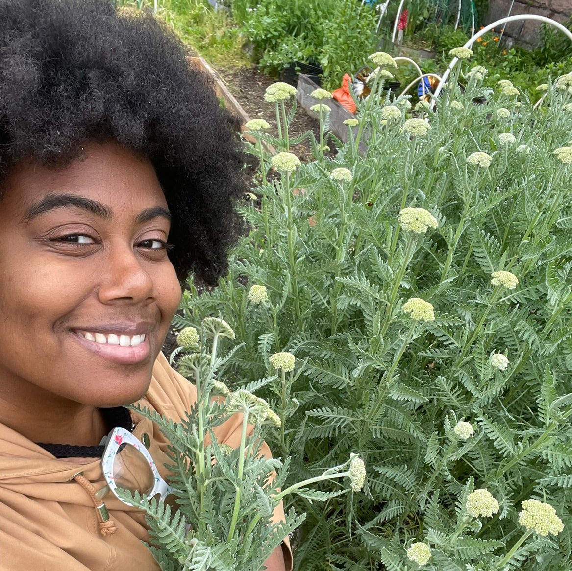 Nathalie Flo | Substack