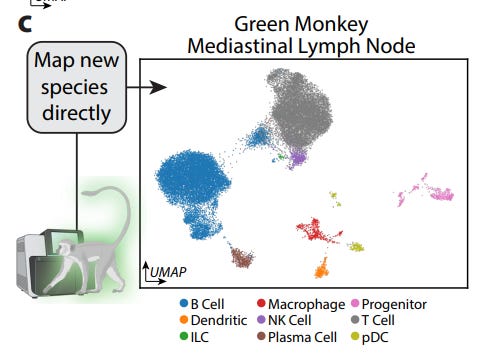 A primer on scRNA-seq foundation models - by Abhishaike