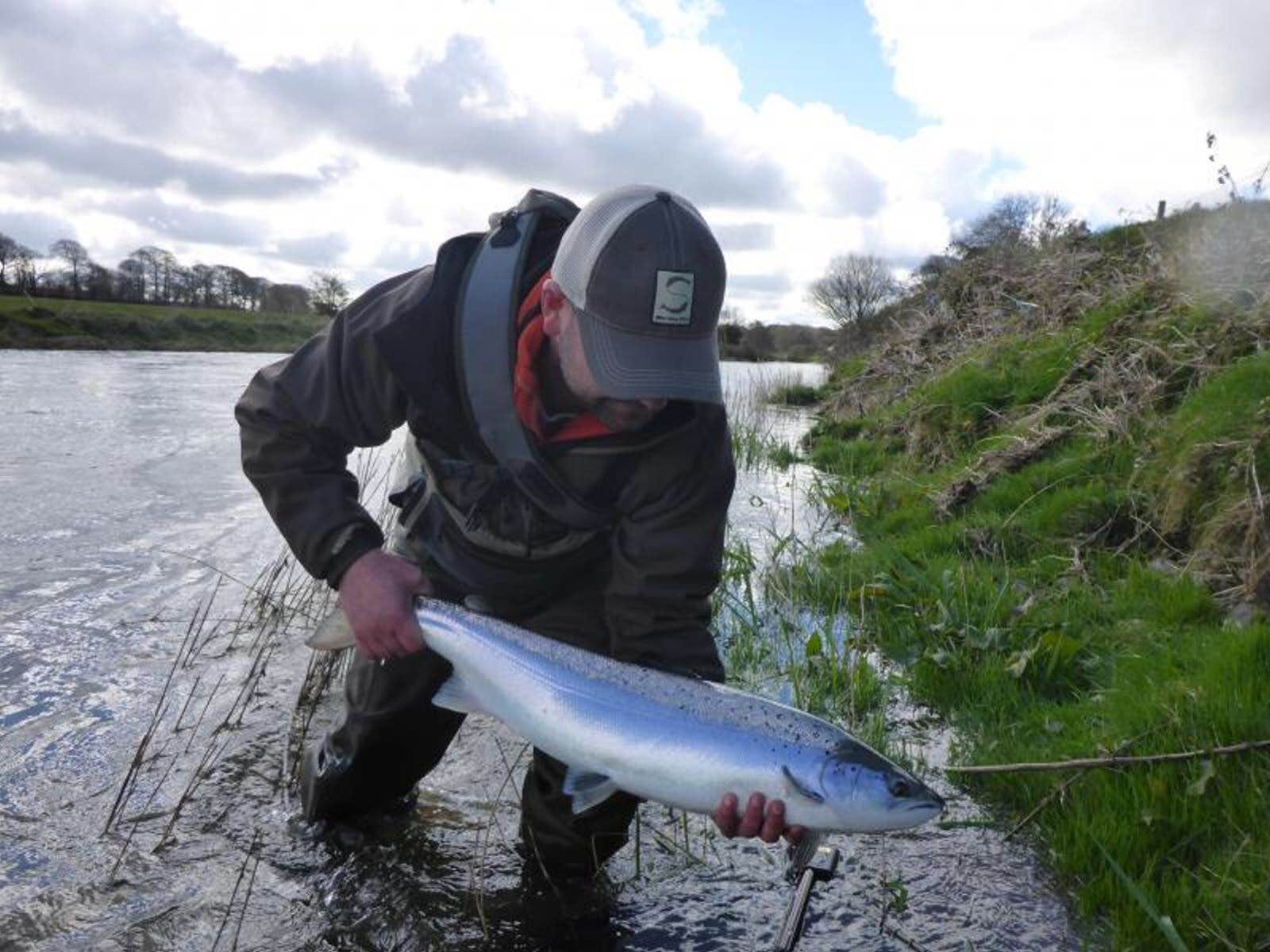 The River Slaney, queen of Irish Rivers