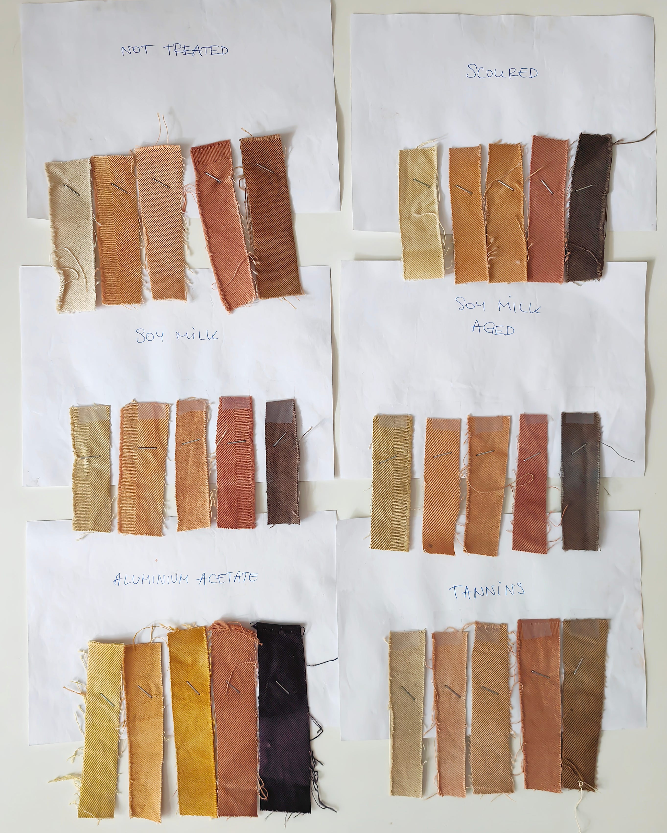 To use or not to use mordants - by Ania Grzeszek