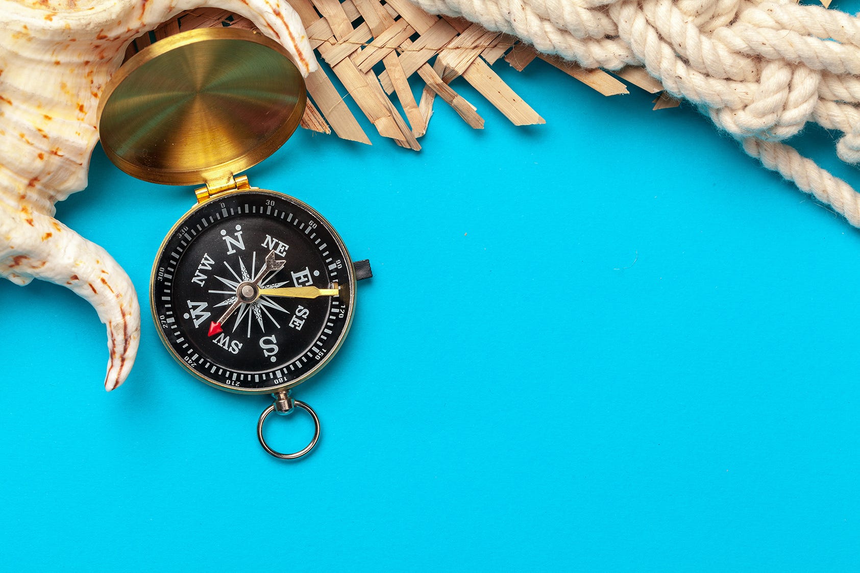 Brand Management 101 - by Olive Ridley Studios