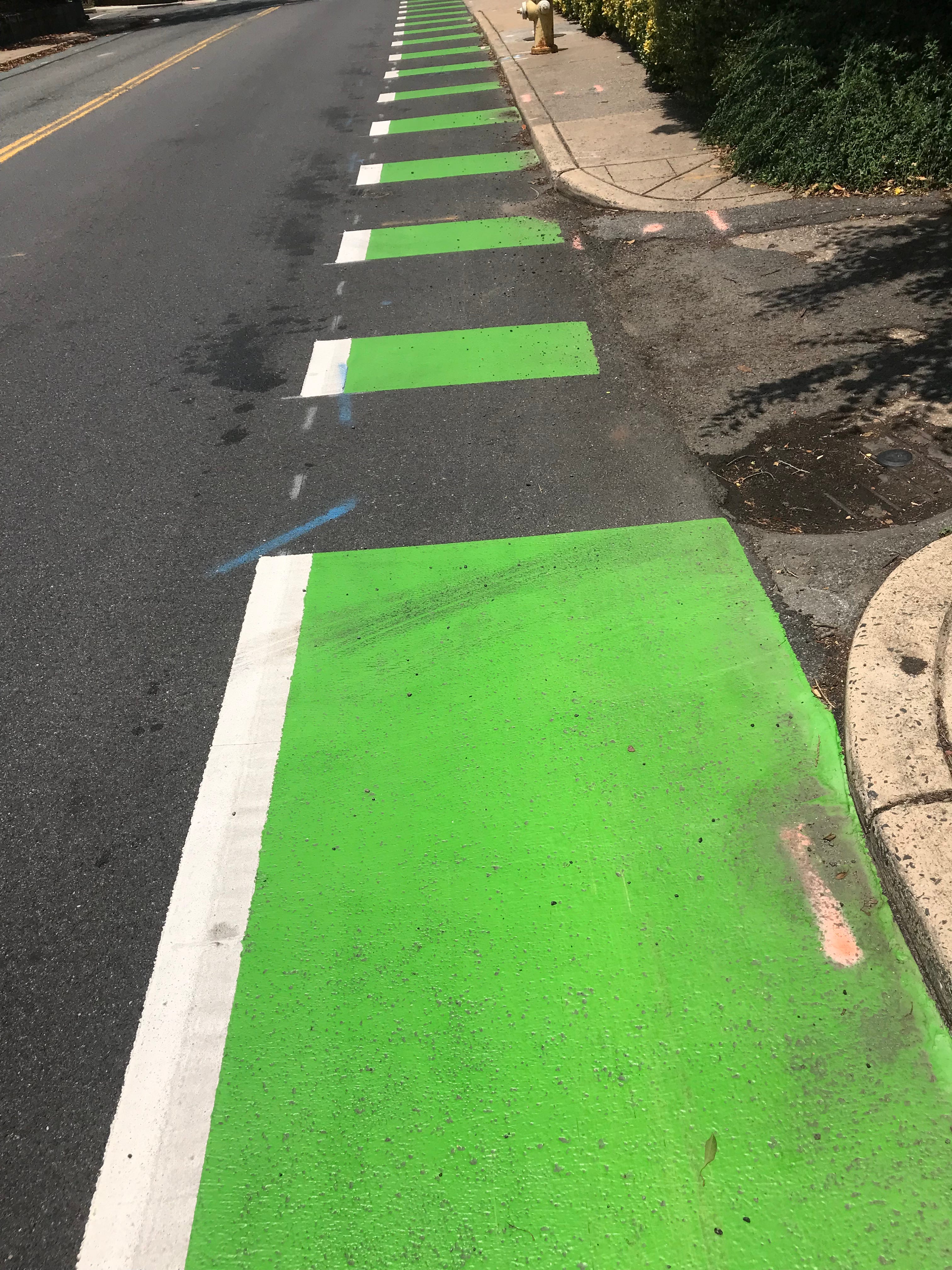 Art on the Streets: A Guide to Alexandria's Bike Lane Graphic Designs