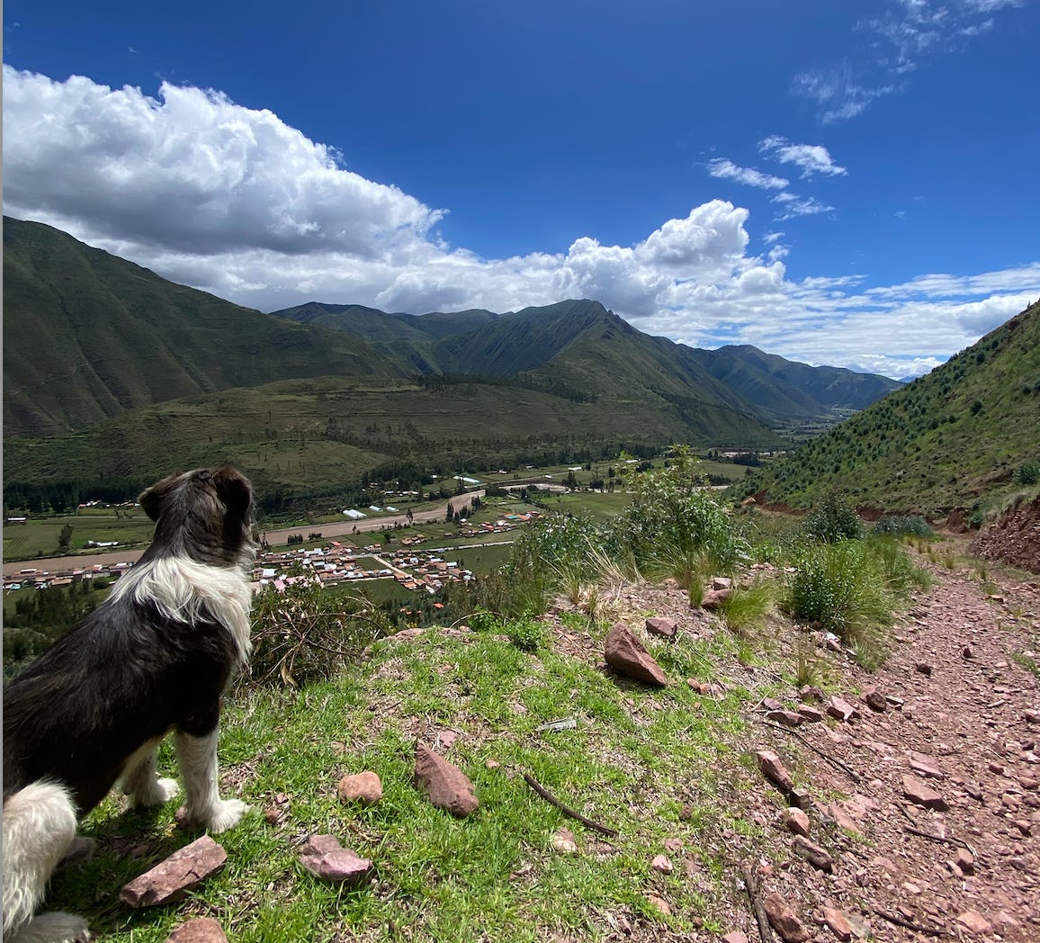 welcome in :) - Willow’s Substack