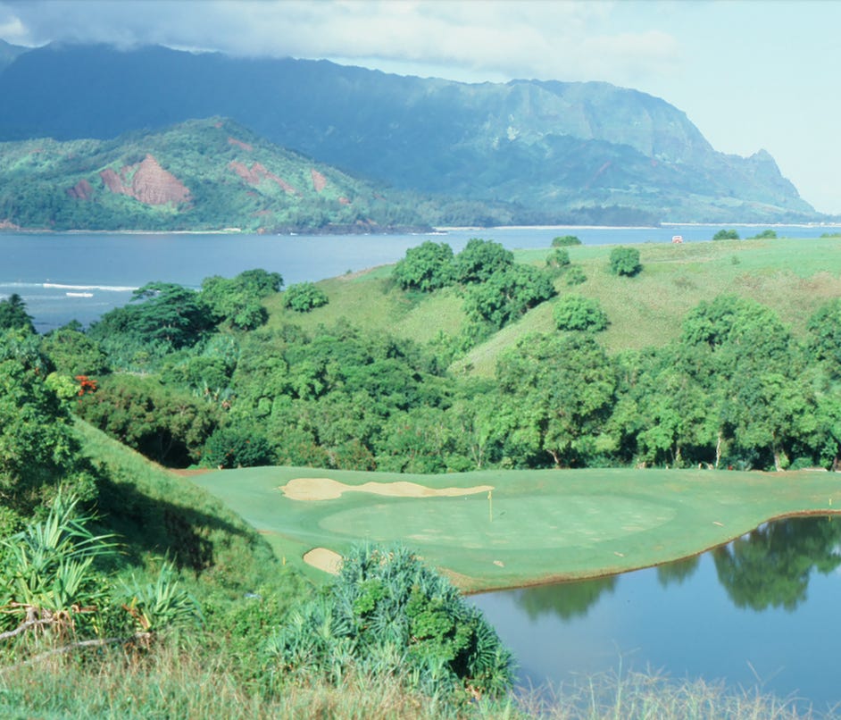 Steve Sailer | Substack