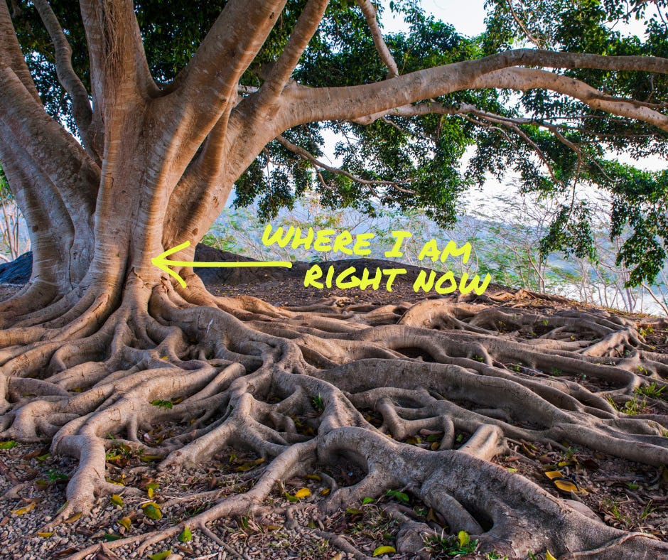 What is Tree-form Narrative? - by David Sewell McCann