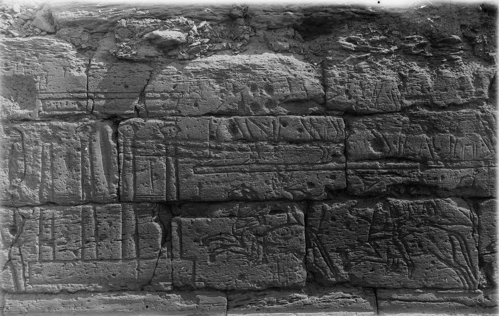 The Knights of ancient Nubia: horsemen and charioteers from the kingdom ...