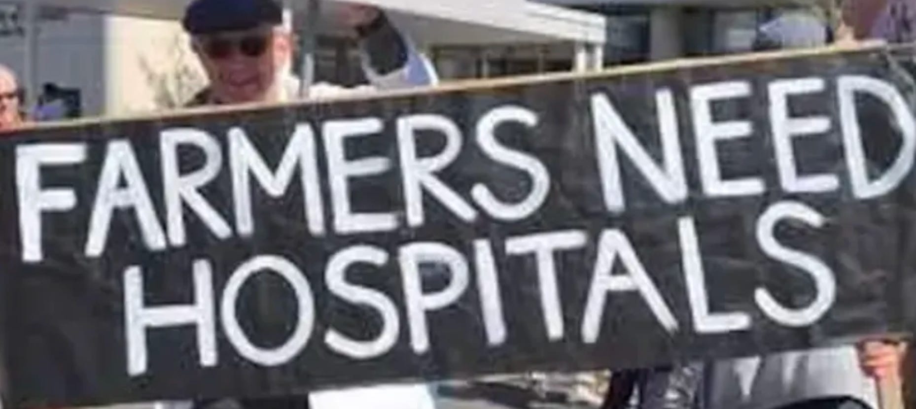 Kiwi Power ! - Mountain Tui