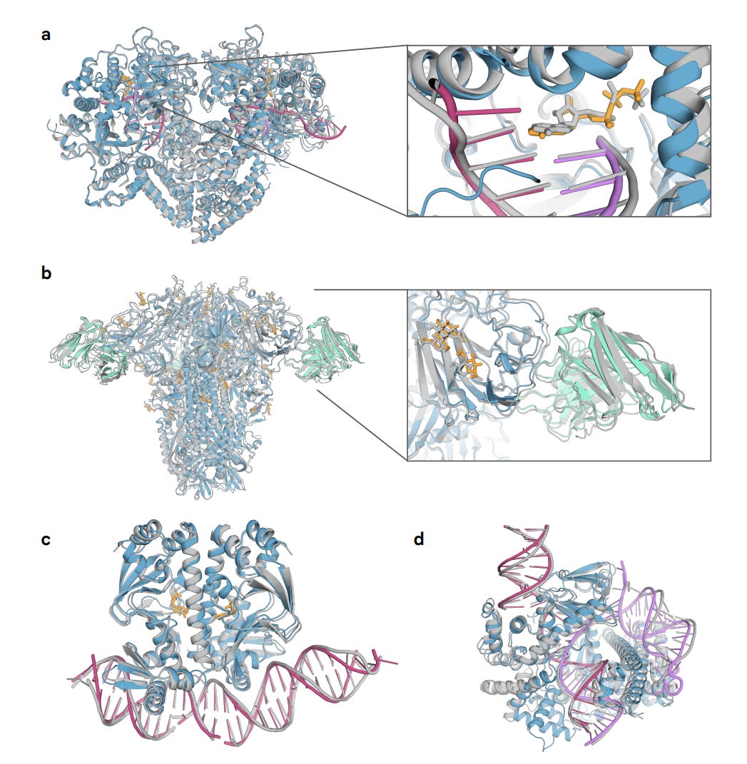 Supporting Open Source and Extending AlphaFold to Protein-Ligand Interactions