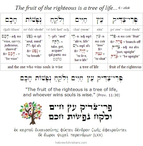 The Tree of Life - by John Parsons - Hebrew for Christians