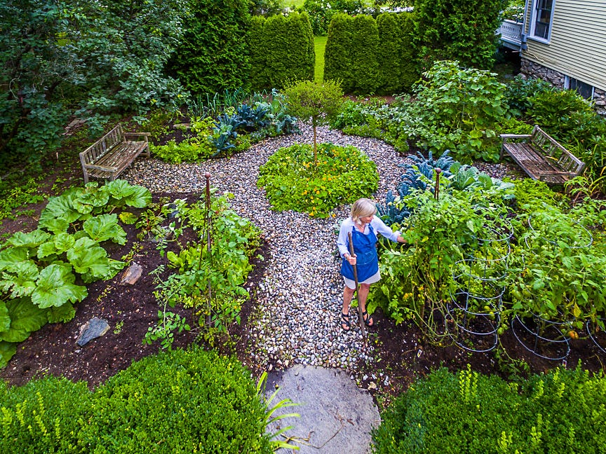 Establishing A Garden Path - by Ellen Ecker Ogden