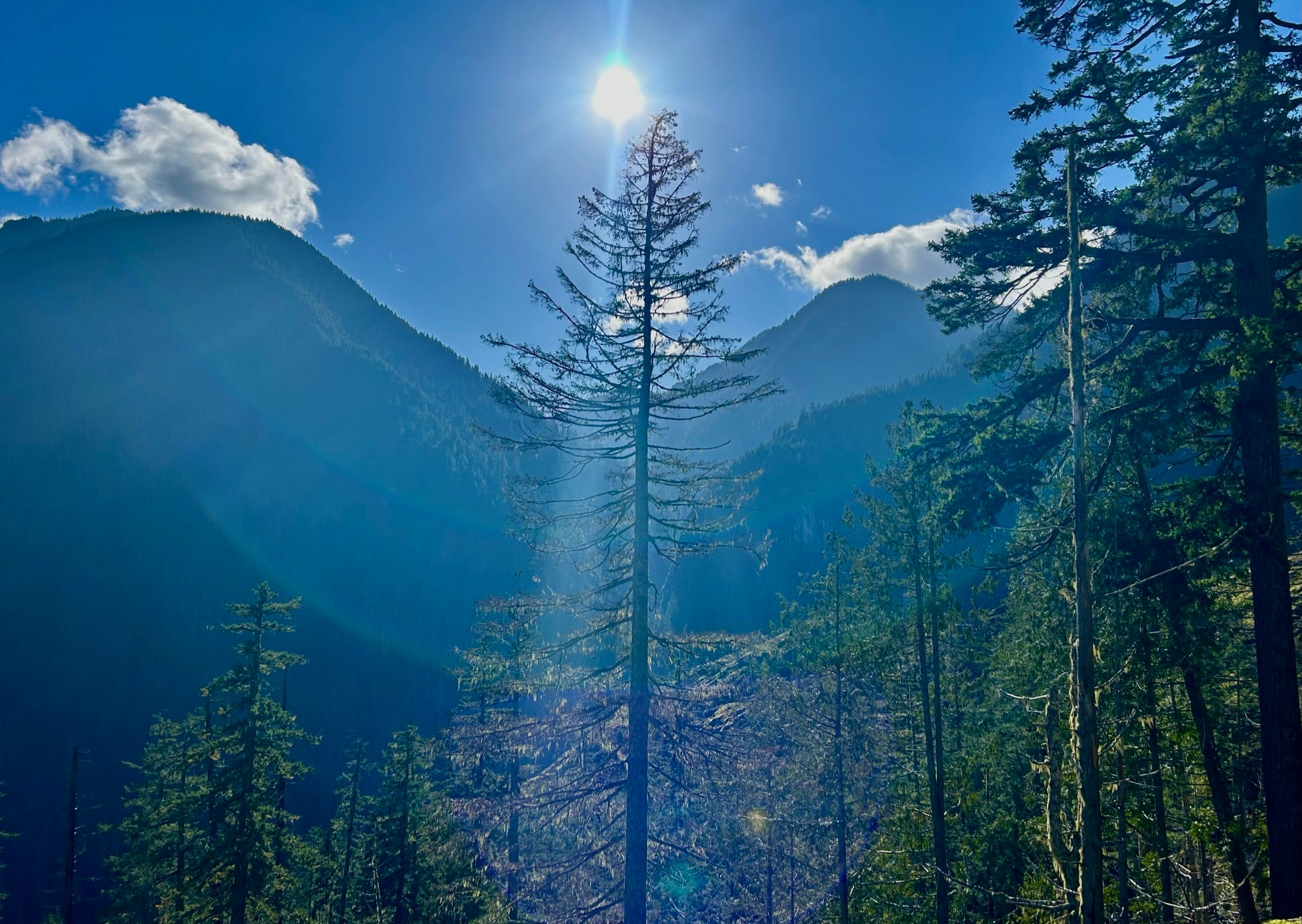 Breaking Celestial News: the Matrix of Separation is Dissolving!