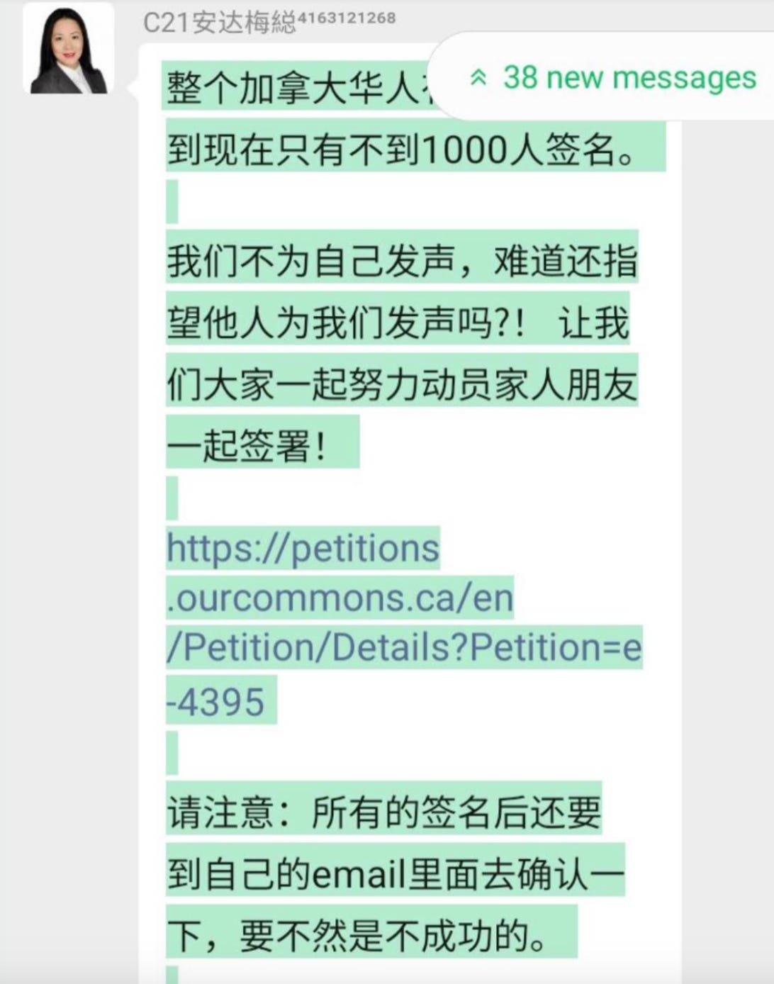 Missing Toronto realtor featured prominently in Beijing's United Front ...