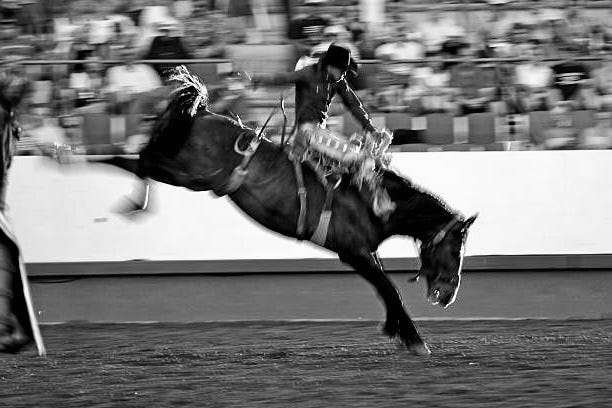 Not My First Rodeo - Pratham's Substack