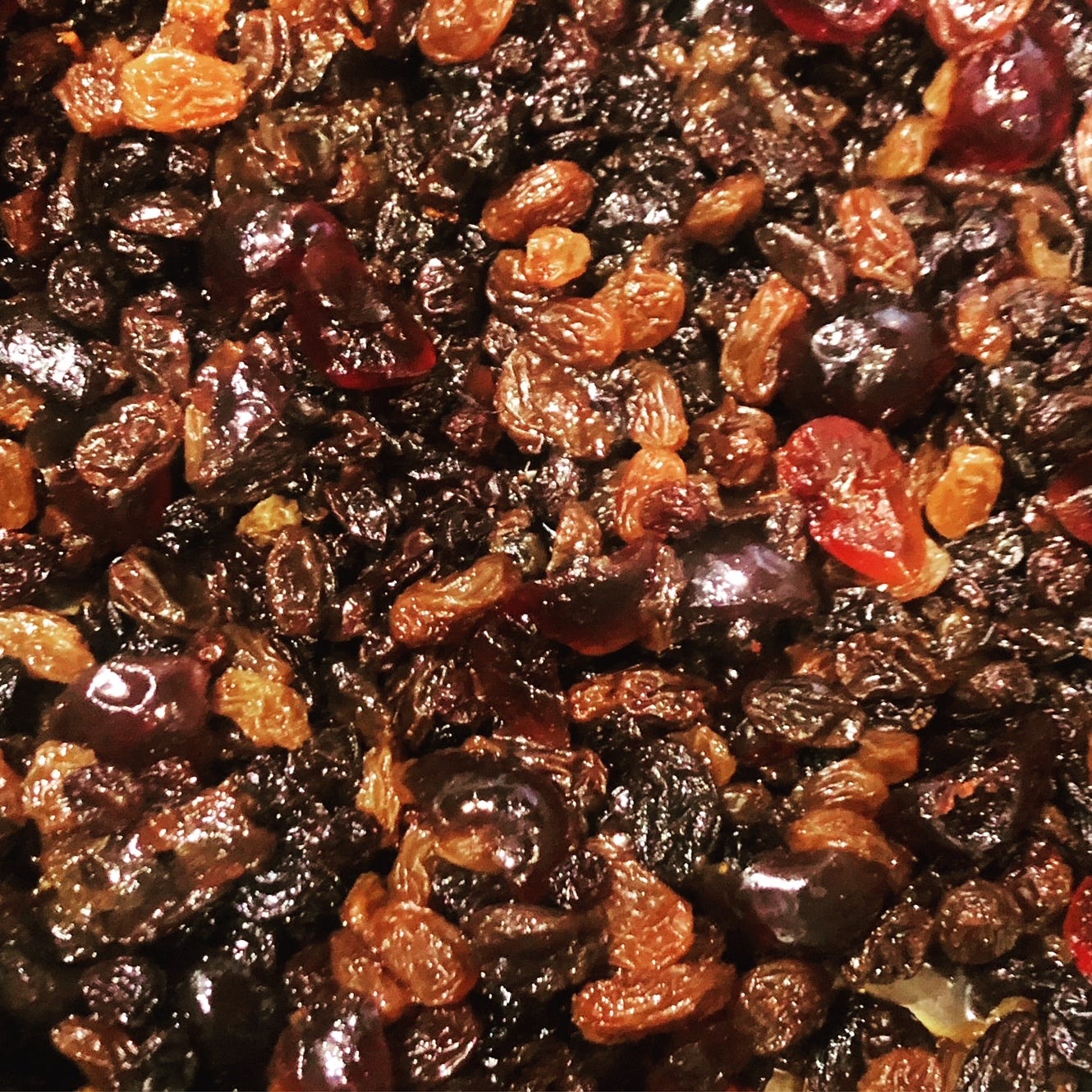 Christmas Pudding - by Catherine Phipps