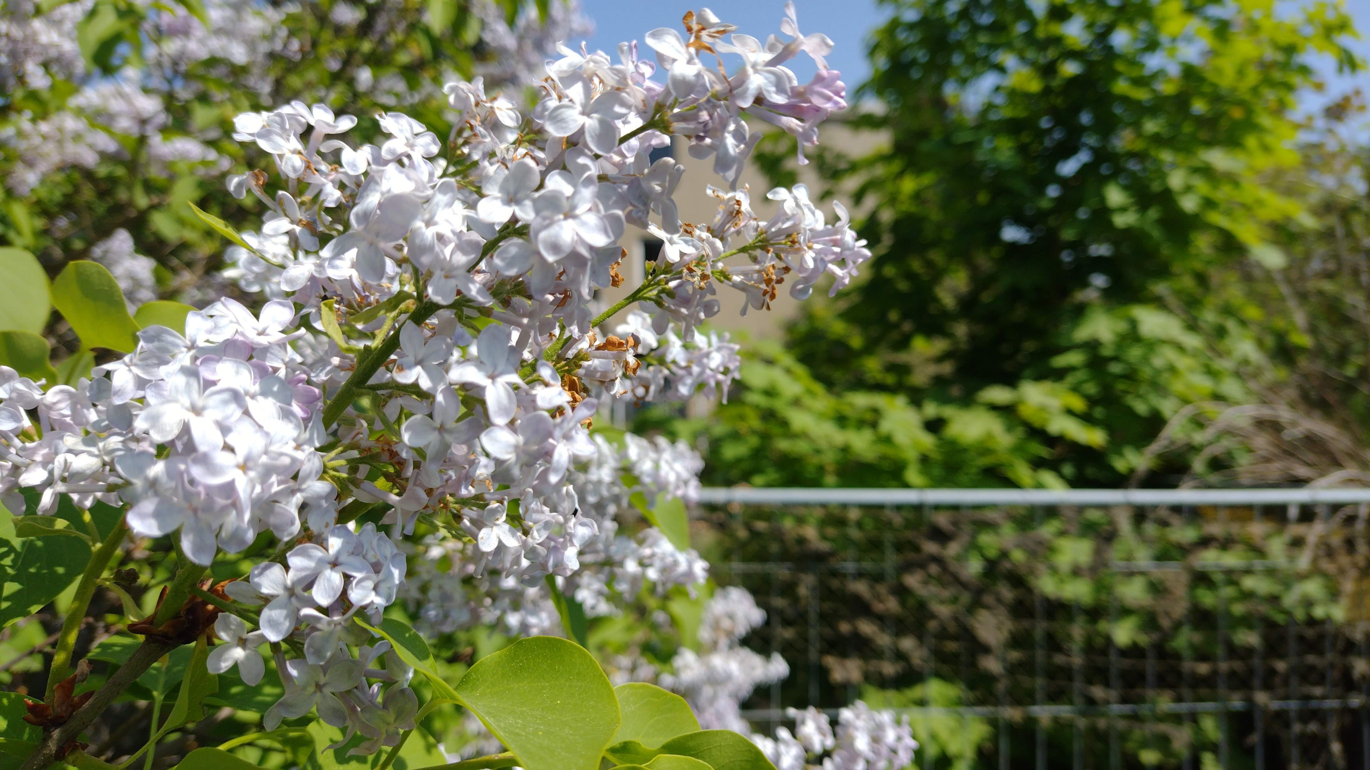 Juxtapositioning - by Ben Green - Barracks In Pictures