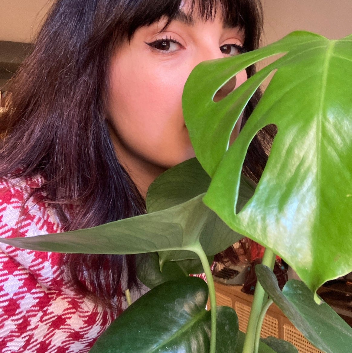 Silvia Pino | Substack