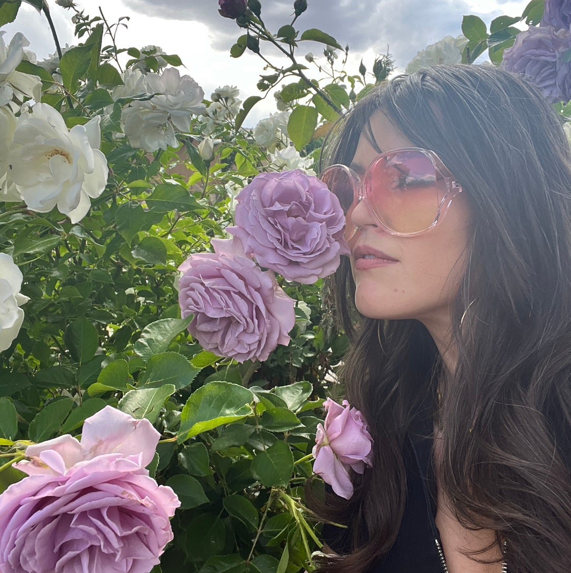 Lily Hussey | Substack