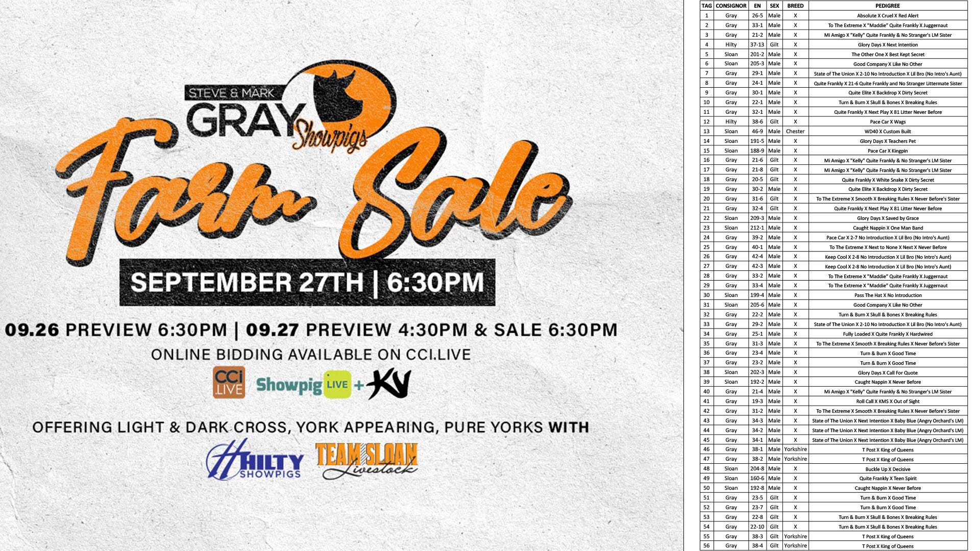 It's Hump Day! - by Kennedy Ventures - Ring Talk