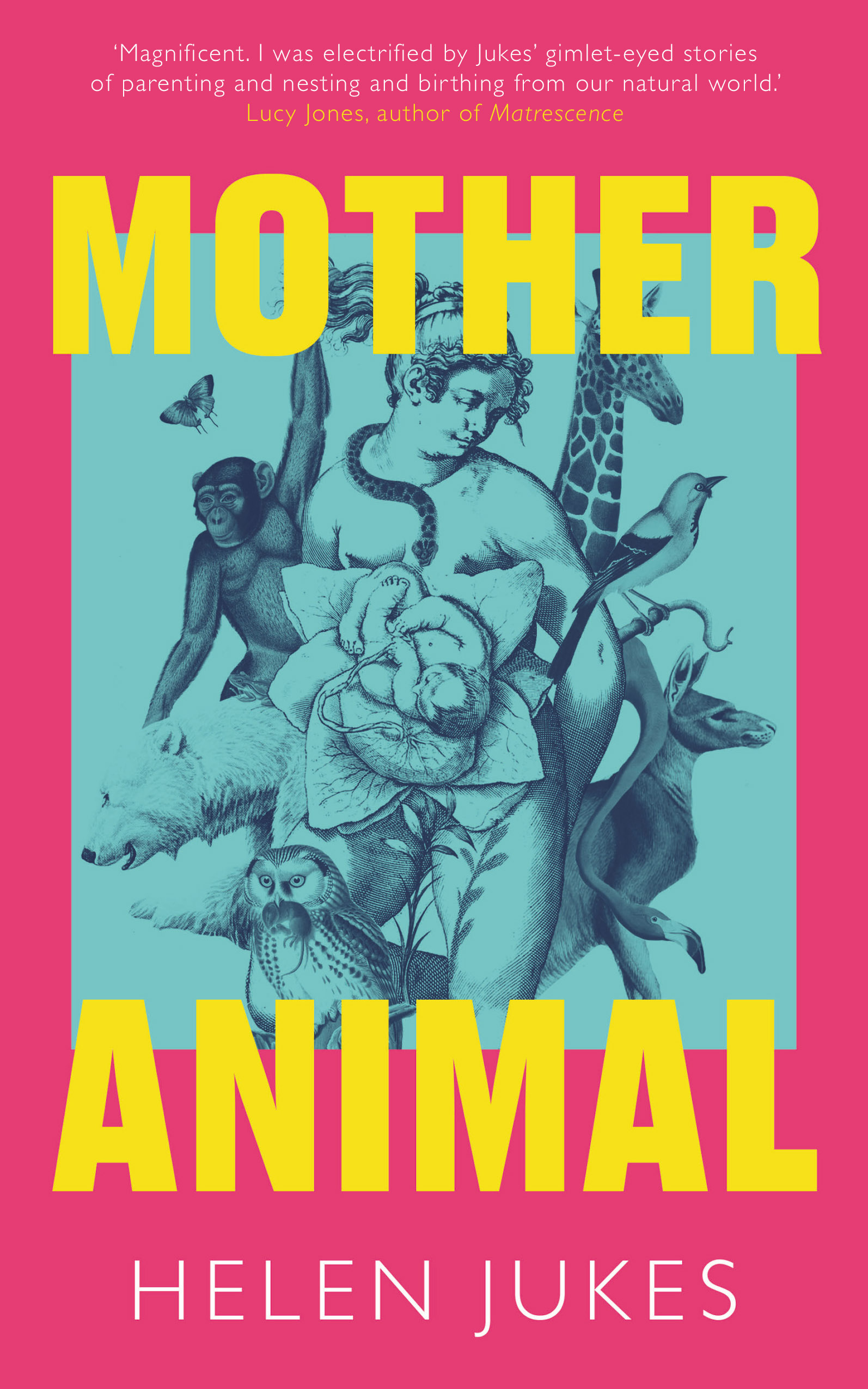 MOTHER ANIMAL ZOOM CALL - by Kerri ní Dochartaigh