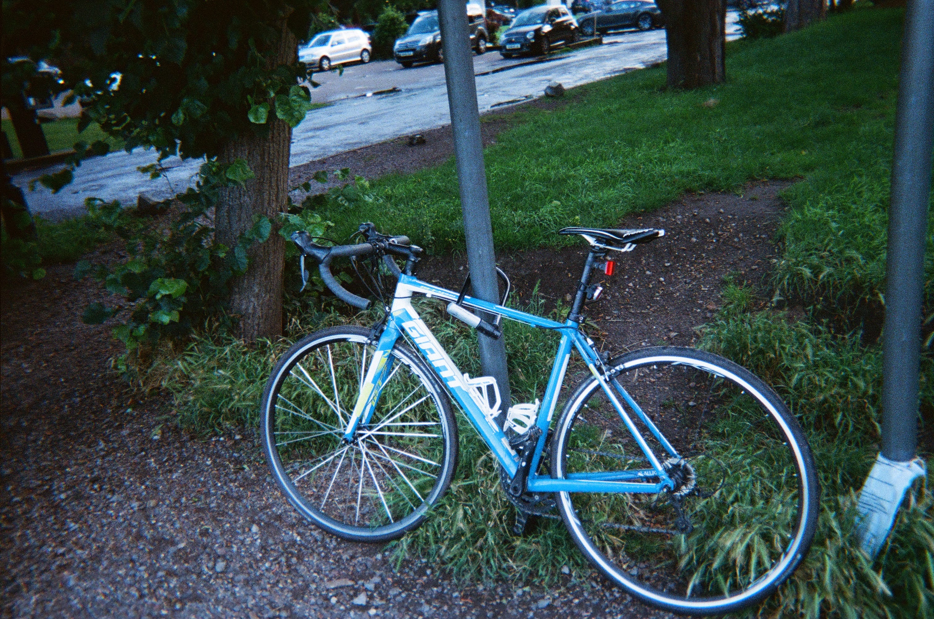 Yesterday Was Lit - by Ciaran Thapar - All City