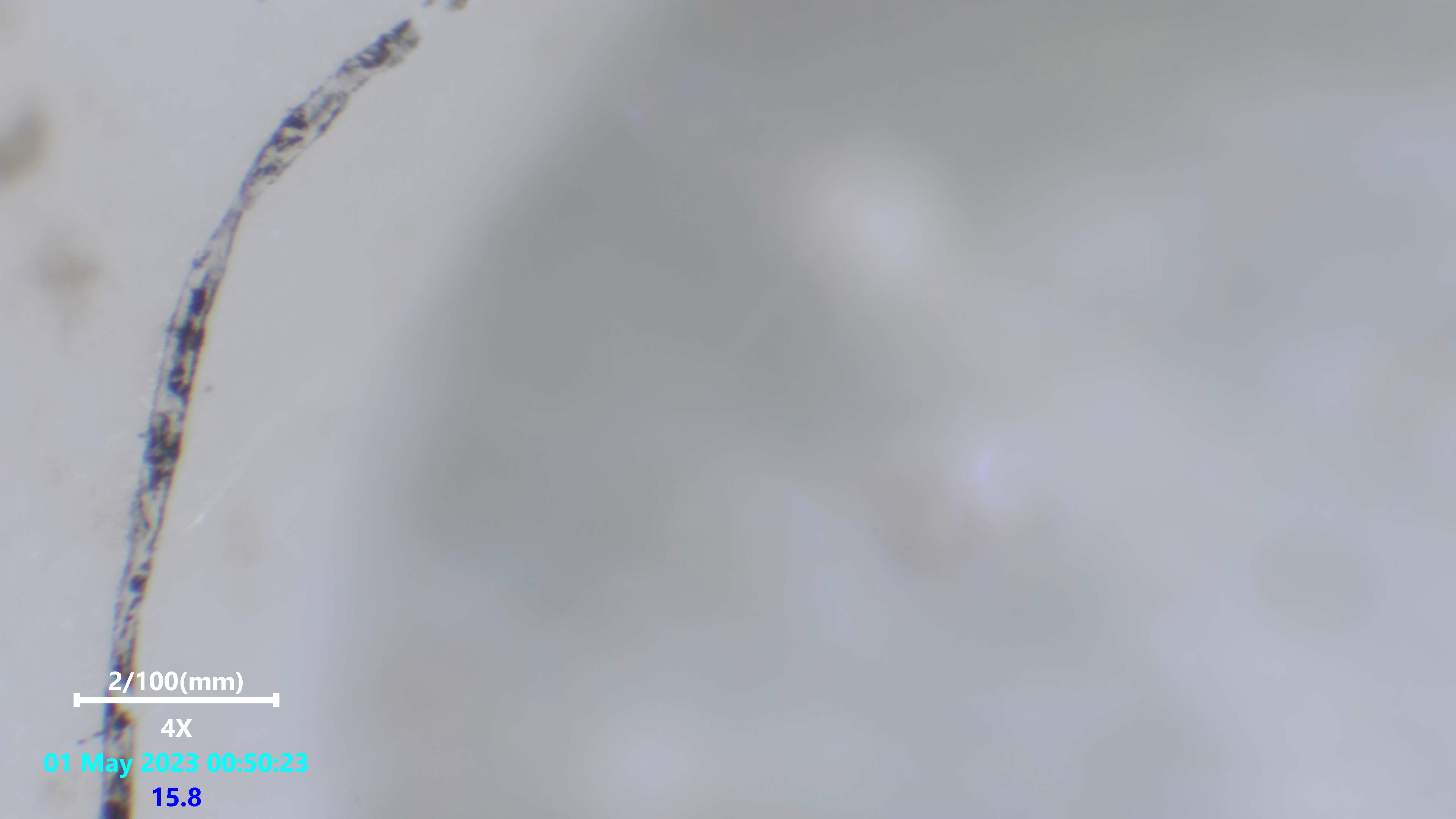 C O V -19 positive rapid test viewing. - Karl.C’s Substack