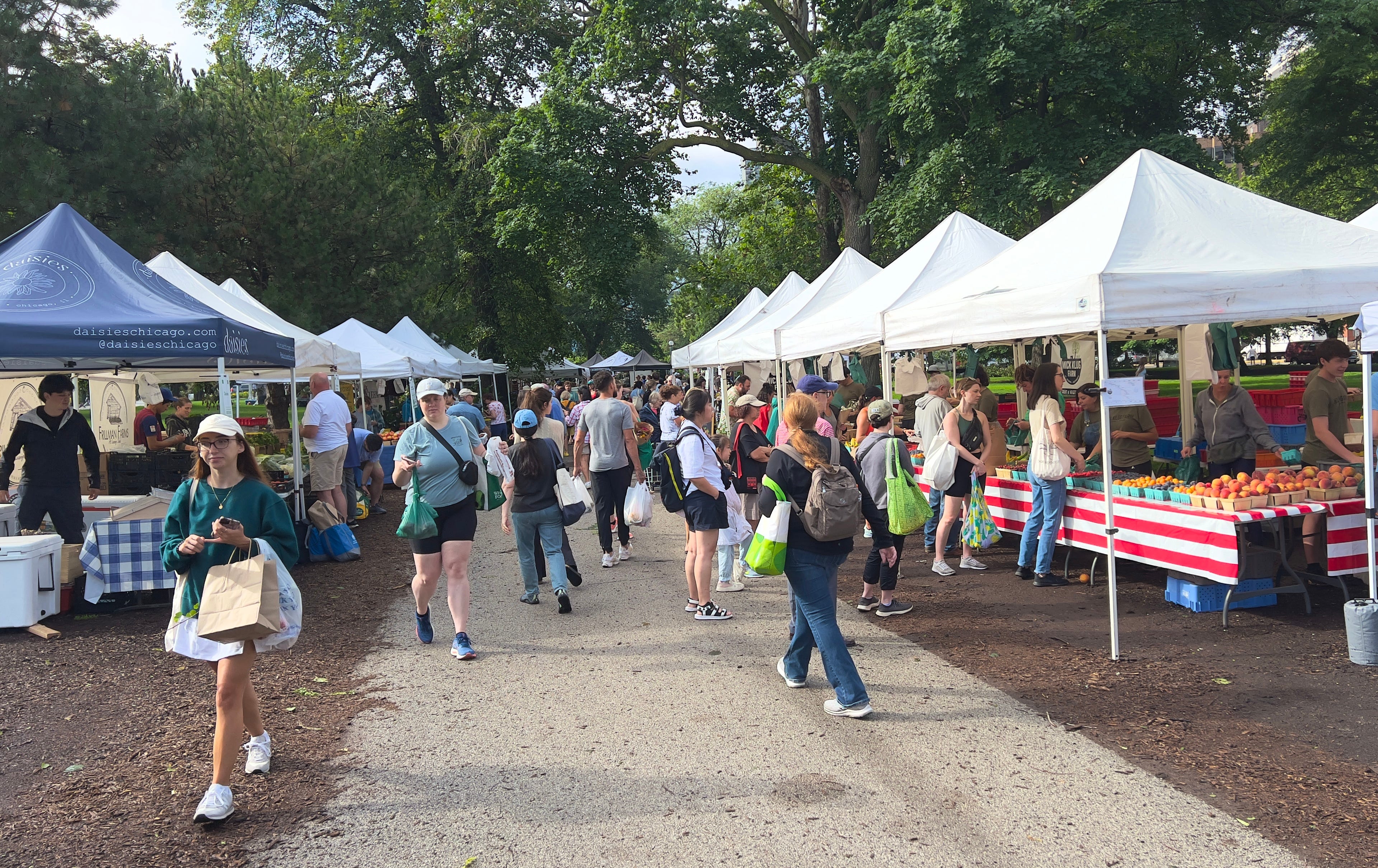 Corn Season's On and How Sweet It Is - by Bob Benenson