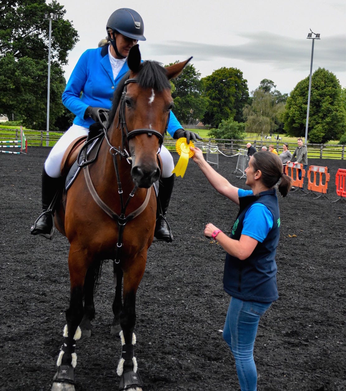 Helen and 'Cara' shine at Strule Valley - Horse&Field